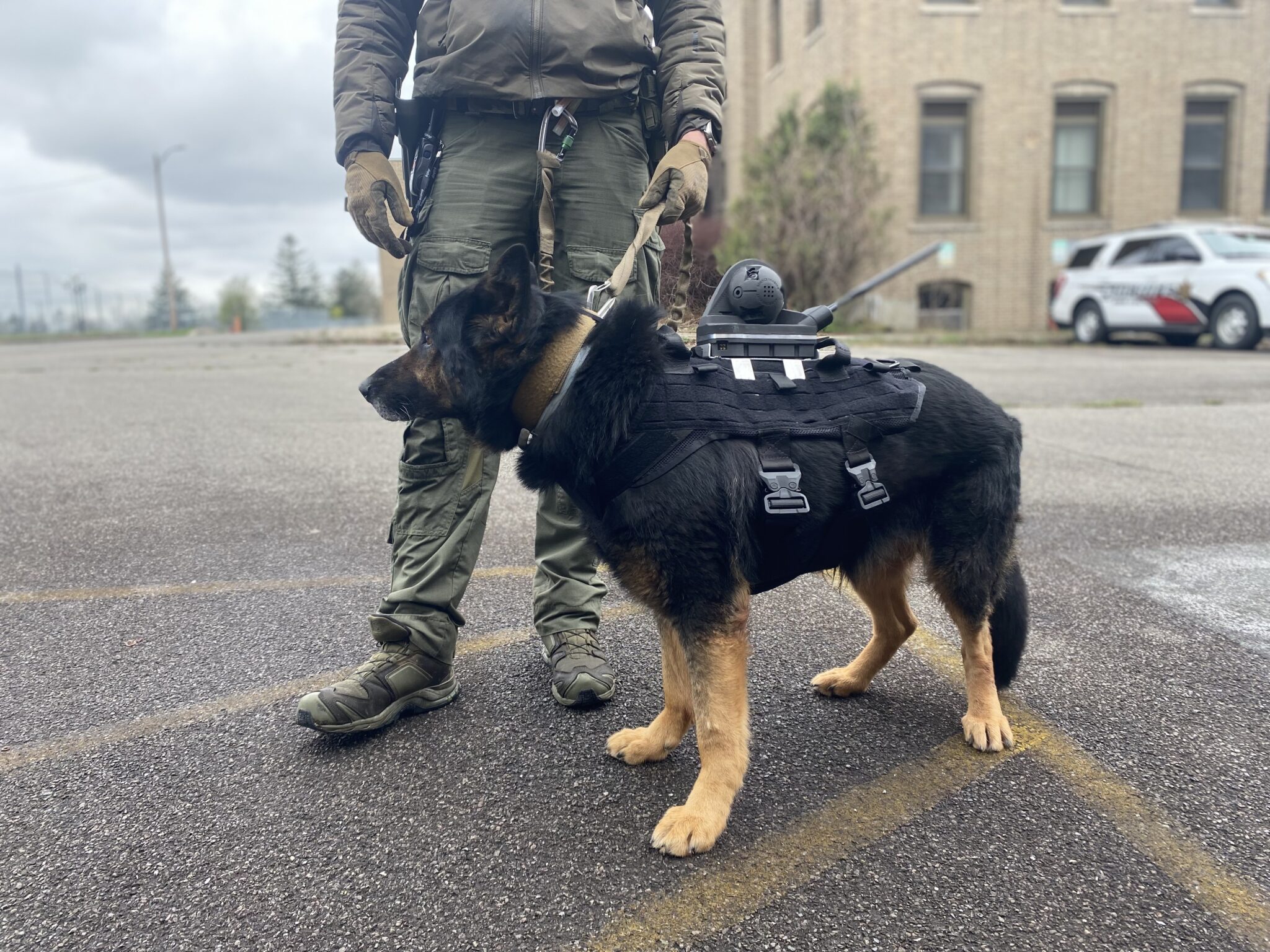 Land Shark Dedicated K-9 Camera | Bounce Imaging